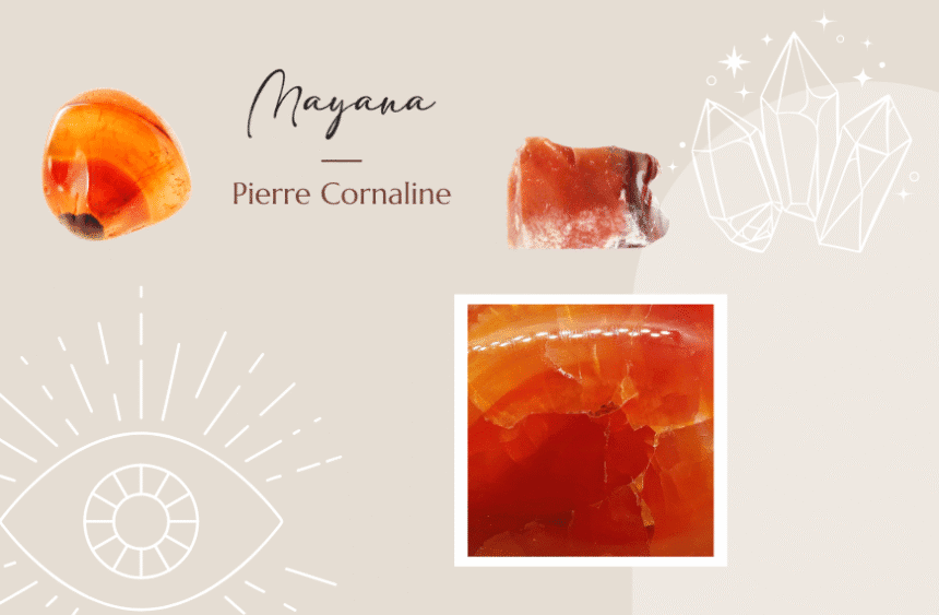Cornaline : vertus, propriétés et bienfaits - Mayana Bijoux Spirituels